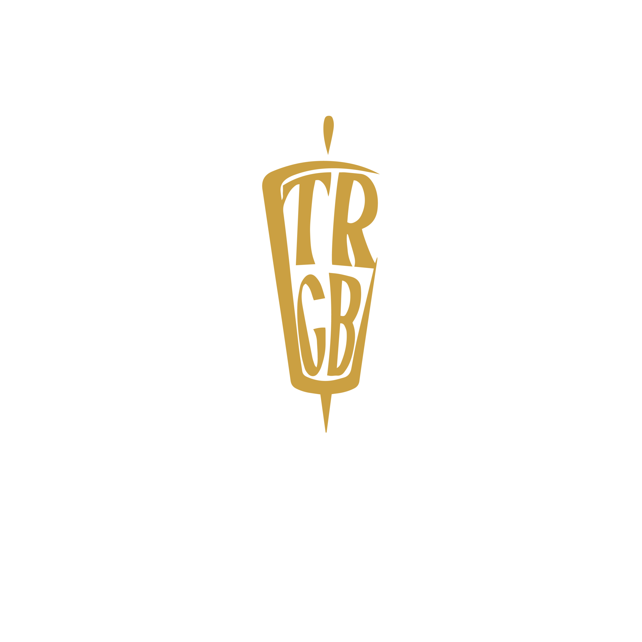 Turkish Gobble Turkish Restaurant